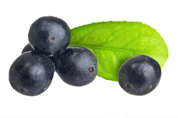 The amazing health benefits of Acai Berry. – The Holistic Ingredient