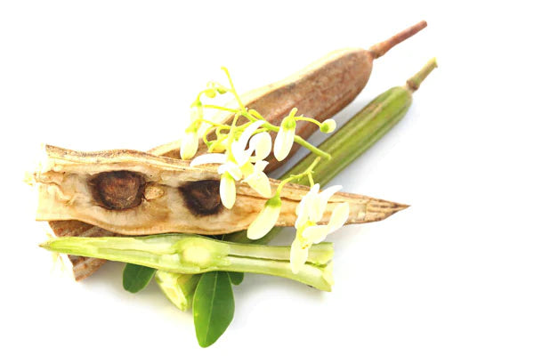 Superfood Feature: Moringa – The Holistic Ingredient