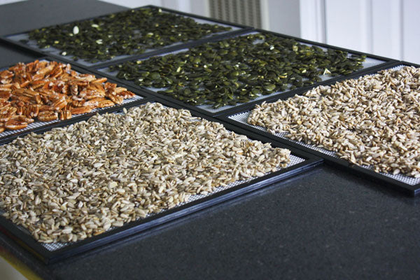 Activated nuts and seeds. The what, the why and the how. – The Holistic ...