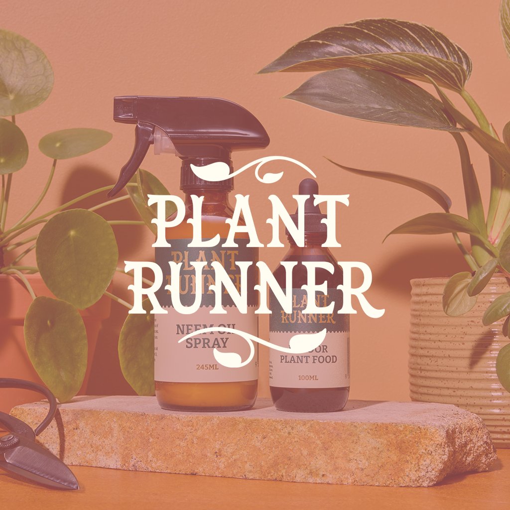 Plant Runner – The Holistic Ingredient